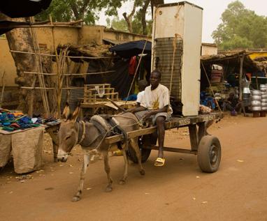 Sustainable Energy for All (SEforALL)
