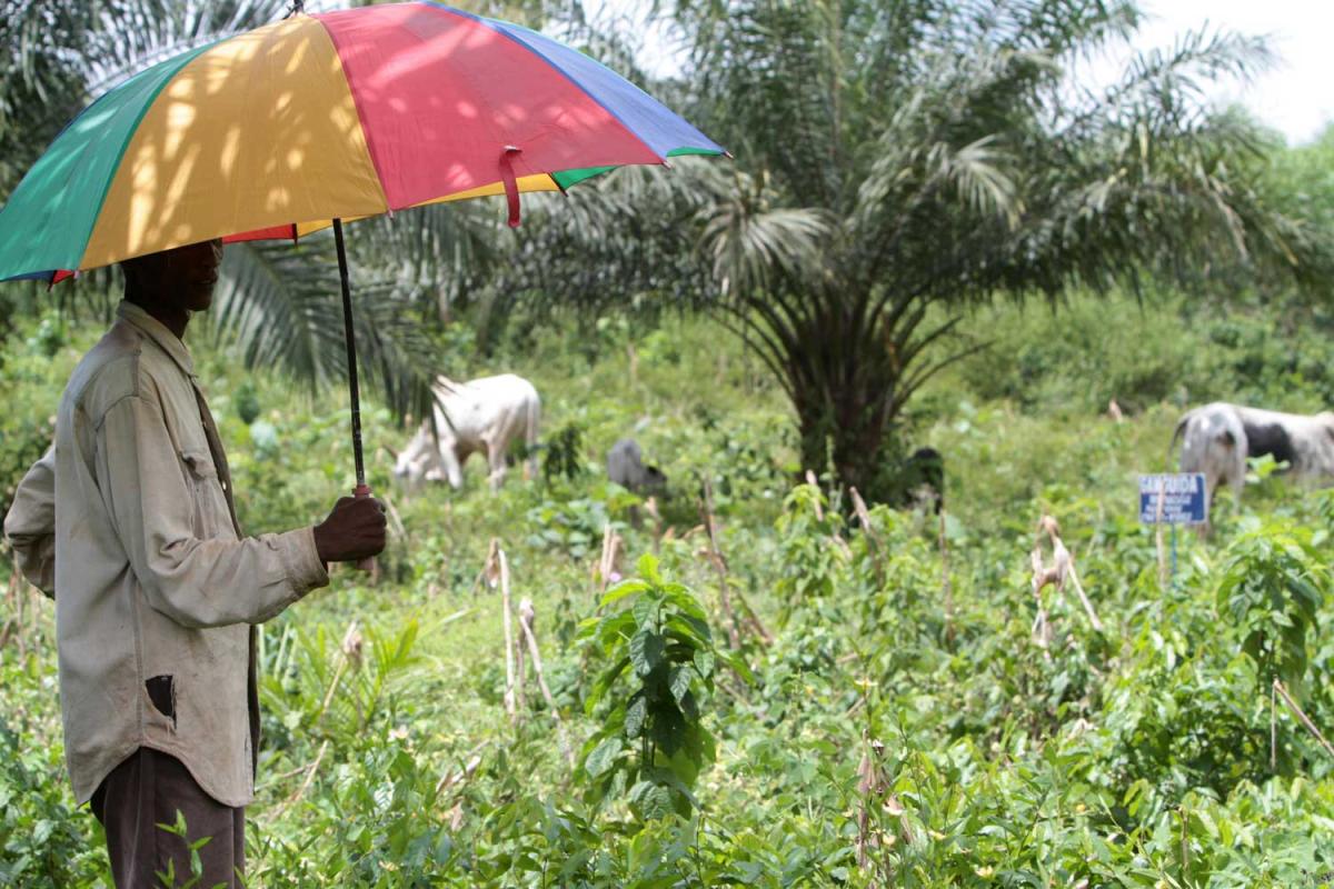 Rural poor at risk in 2022 | Sustainable Energy for All