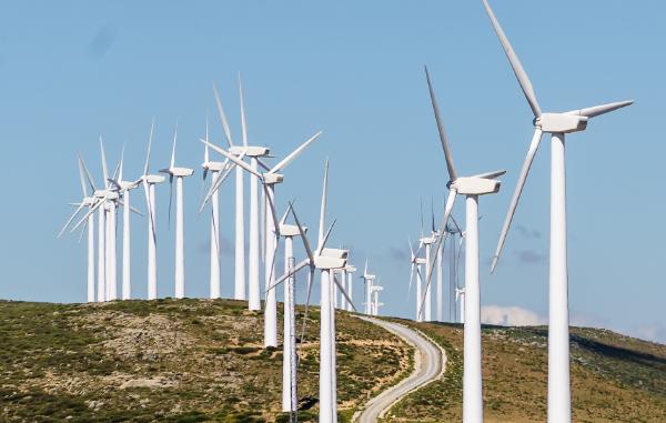 Africa Carbon Markets Initiative (ACMI) | Sustainable Energy for All