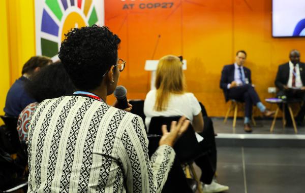 Global advocacy & diplomacy | Sustainable Energy for All