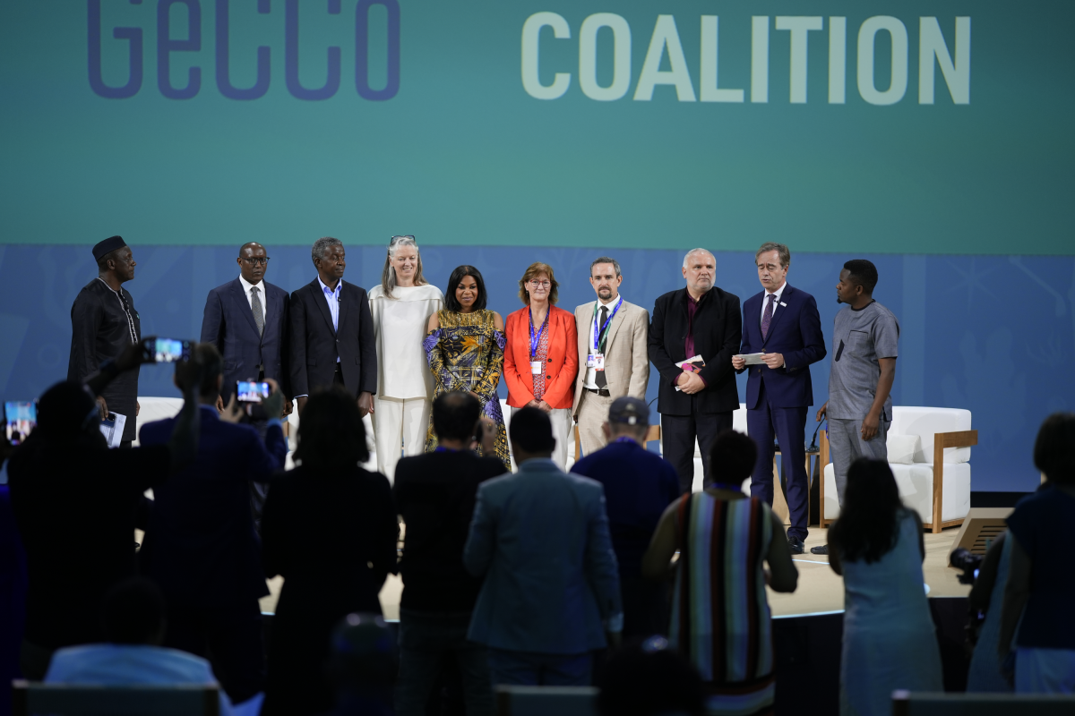 SEforALL, partners unveil new commitments on sustainable cooling ...