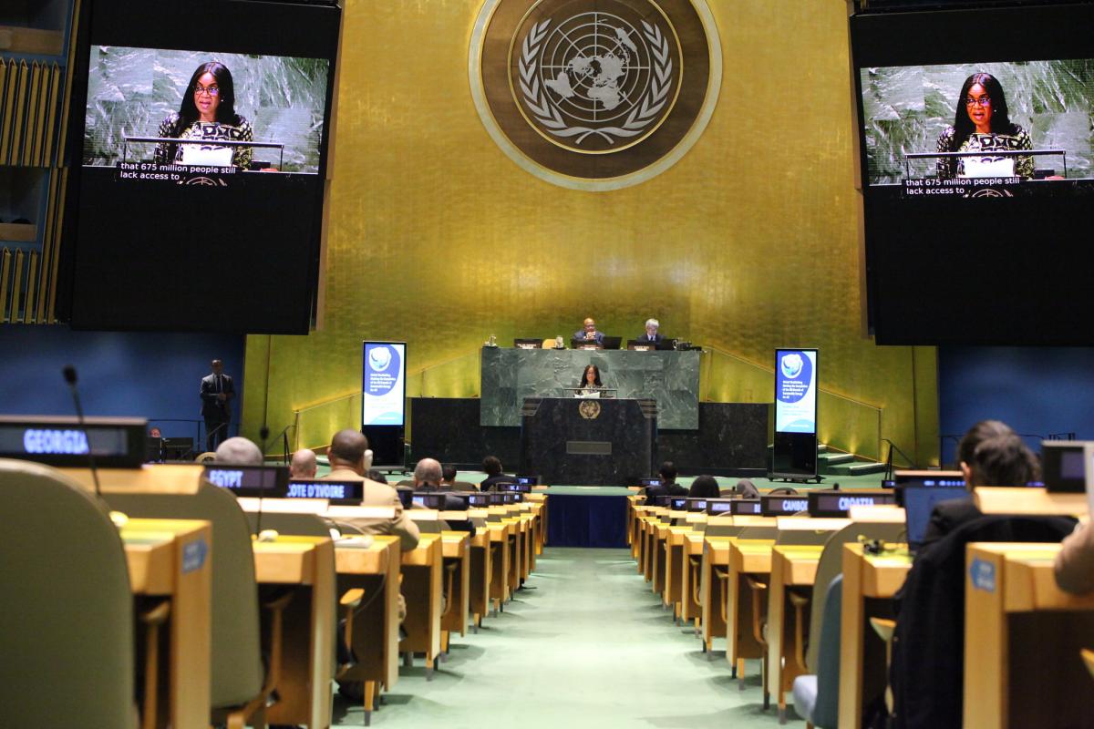 Special Representative of the Secretary-General and SEforALL CEO ...