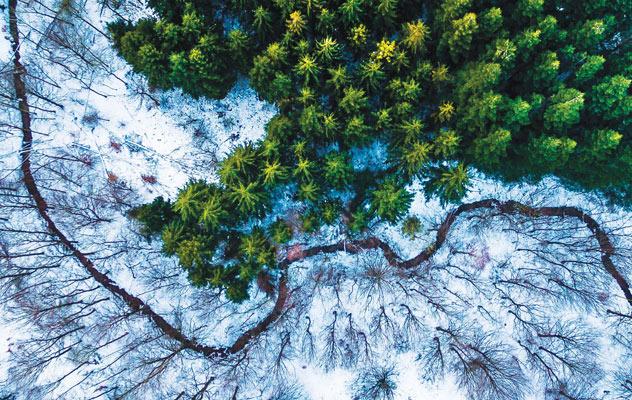 Keep cool and carry on: how the Montreal Protocol is making cooling ...