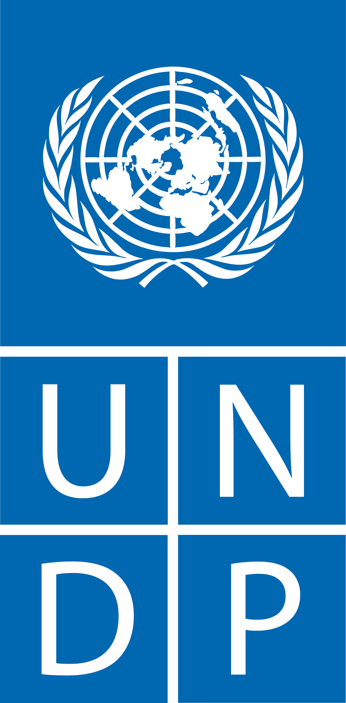 Undp Official Logo